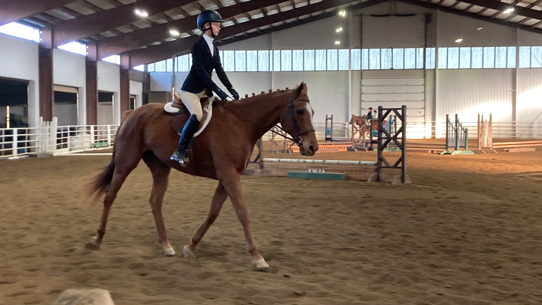Red Miracle | Thehorsebay.com