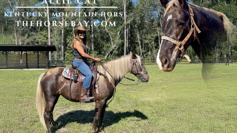 Osprey | Thehorsebay.com