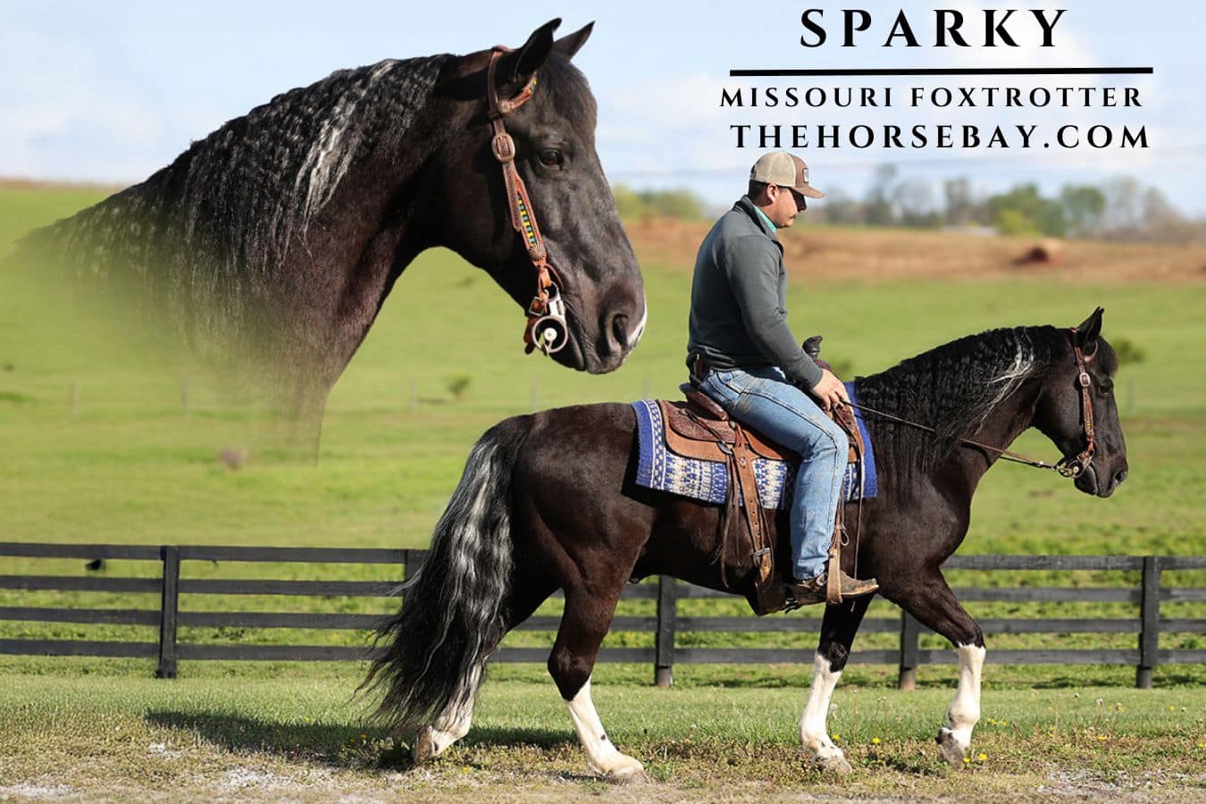 CM's Rowdy Rawhide Apache | Thehorsebay.com