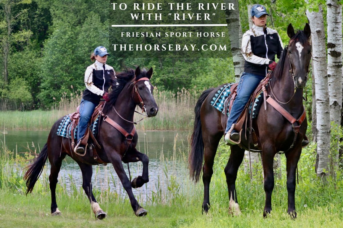 To Ride The River With "River" | Thehorsebay.com