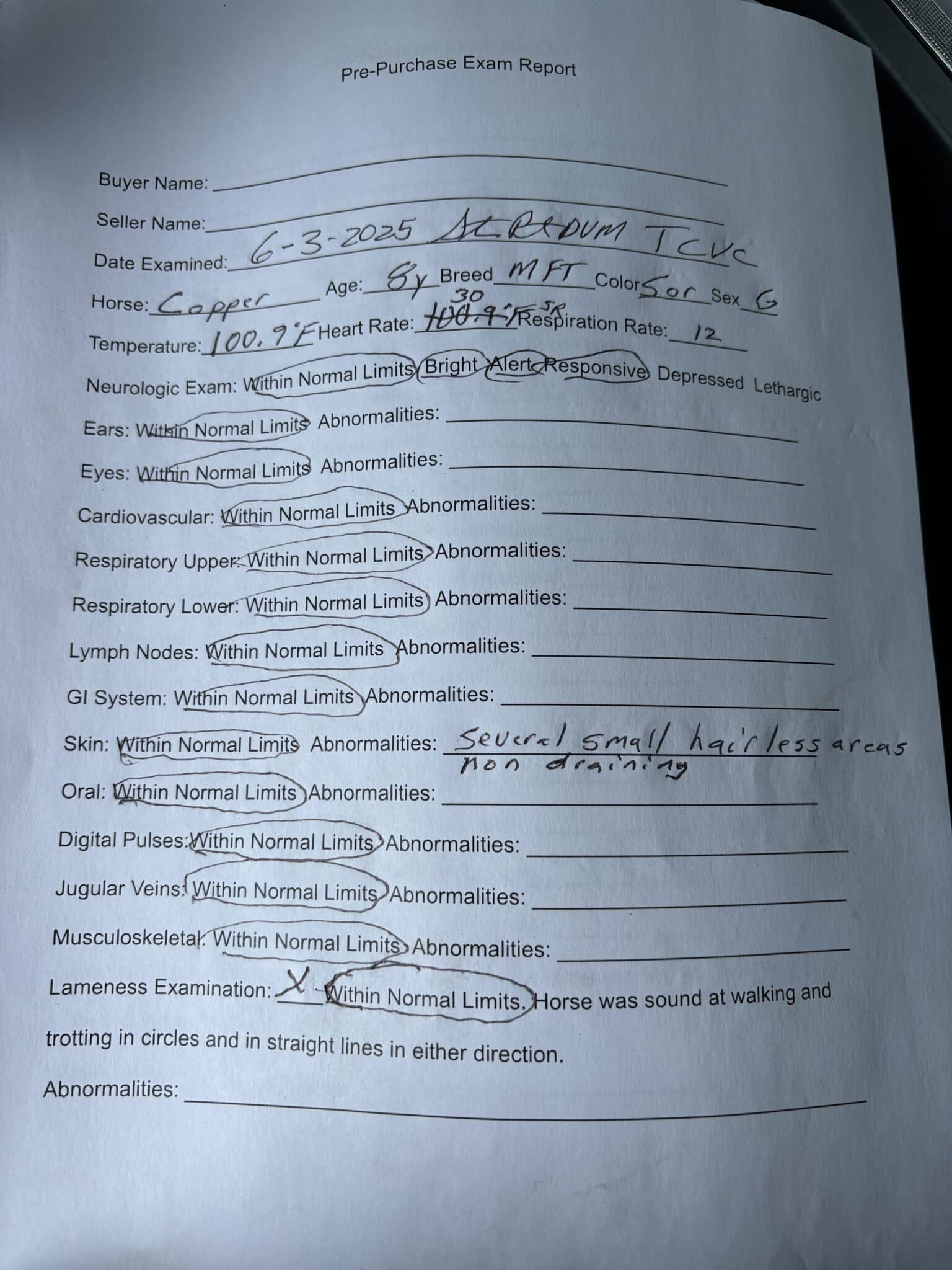 Copper | Thehorsebay.com