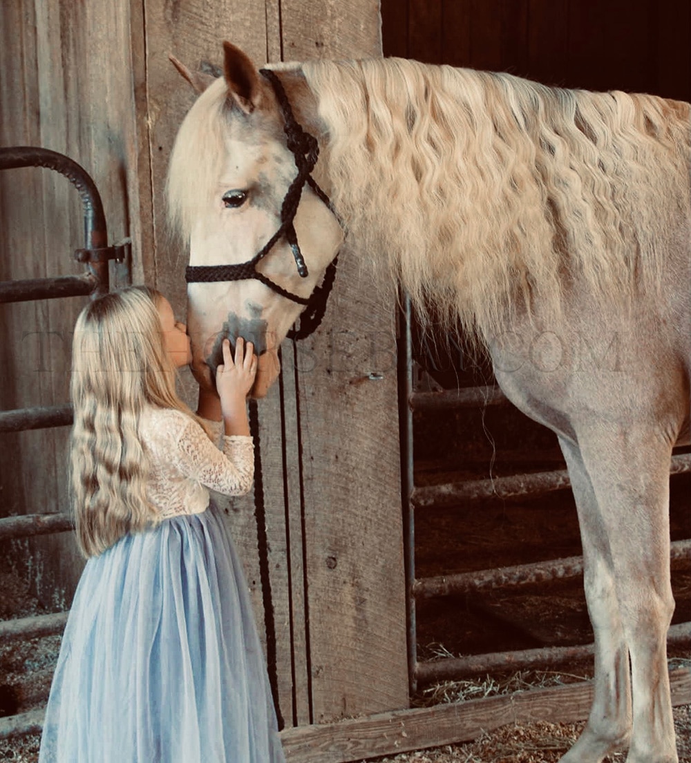 Boo | Thehorsebay.com