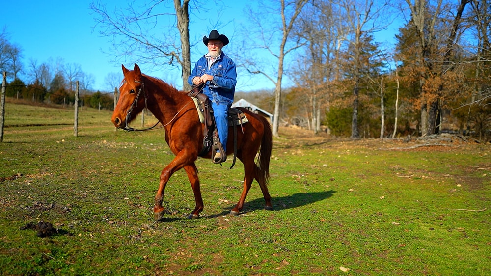 Rockin G’s Red Eagle | Thehorsebay.com