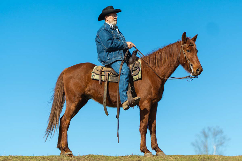 Rockin G’s Red Eagle | Thehorsebay.com