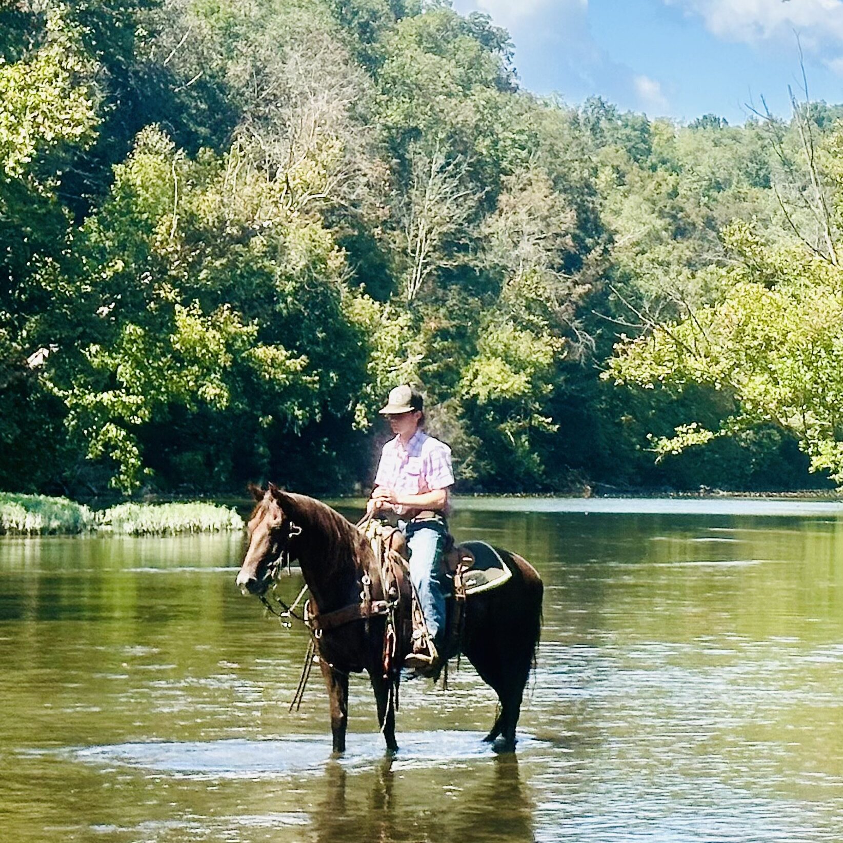Jason Woods Archives - Thehorsebay.com